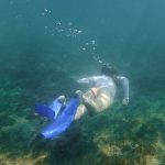 Cape Vidal Snorkeling – Safari And Surf – Wilderness Adventures